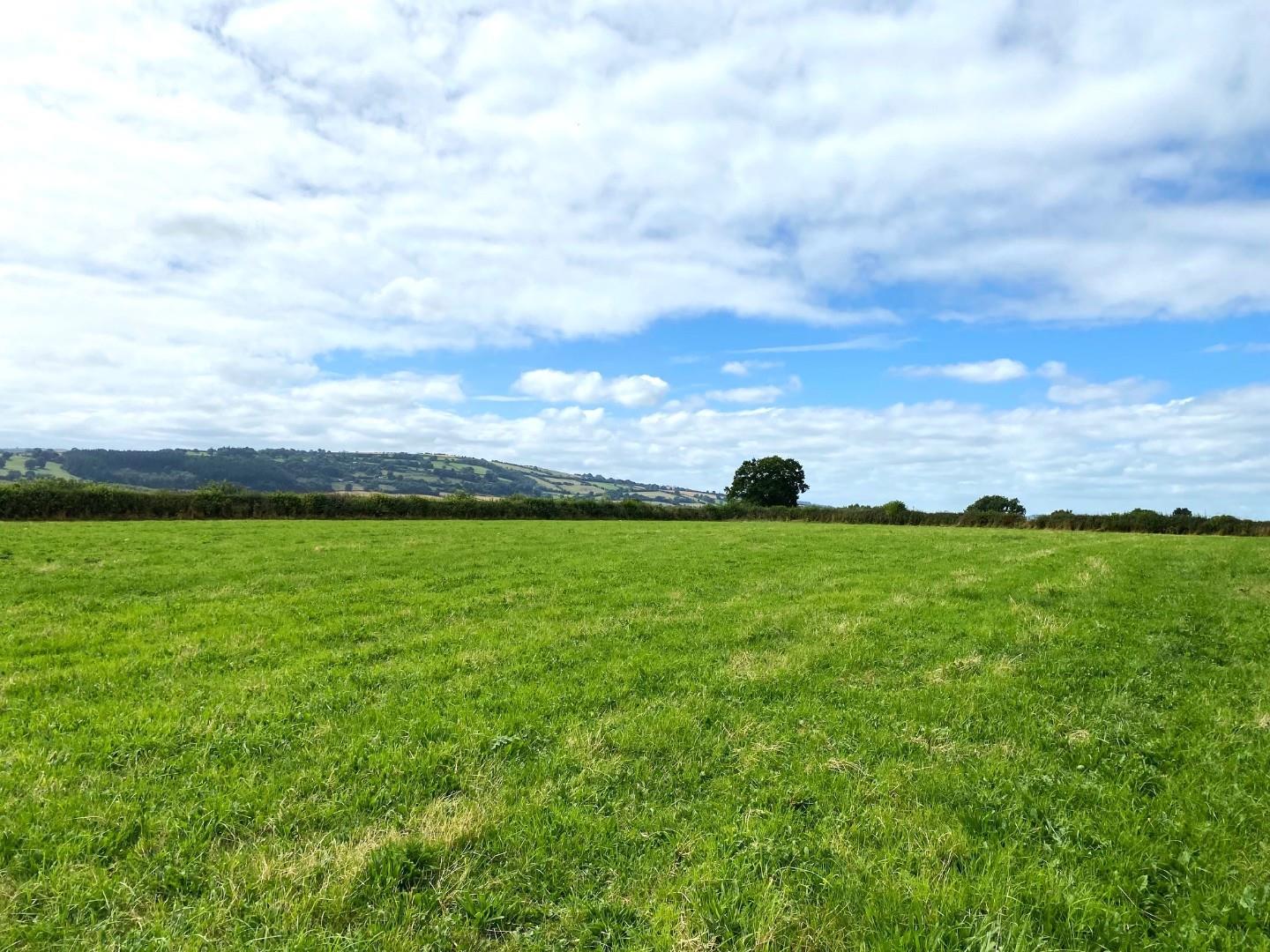 Lot 2, Bromleys Mill, Lydham, Bishops Castle, SY9 5HQ | Estate Agents ...